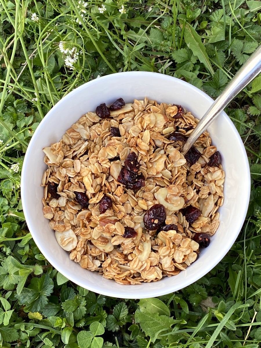 Back to school snack ideas – Tucker&Co. Granola